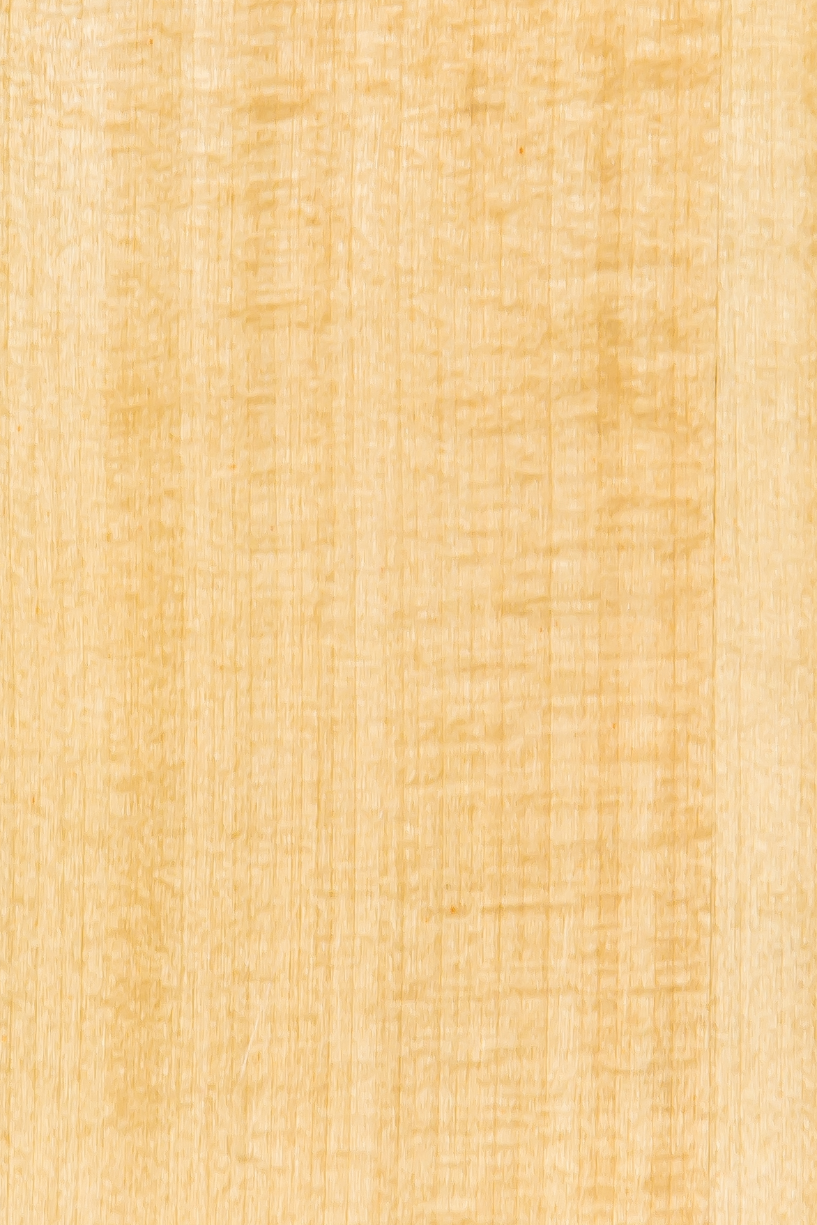 Basswood Finishes at Creation Hospitality