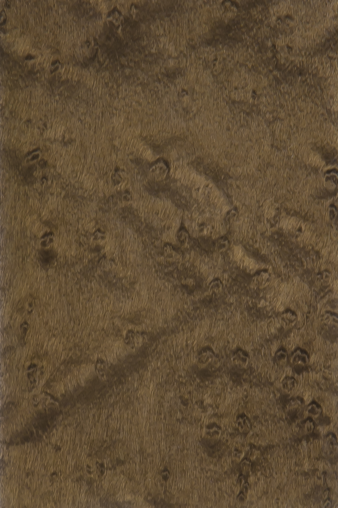 Grey Bird's Eye Maple Veneer at Creation Hospitality